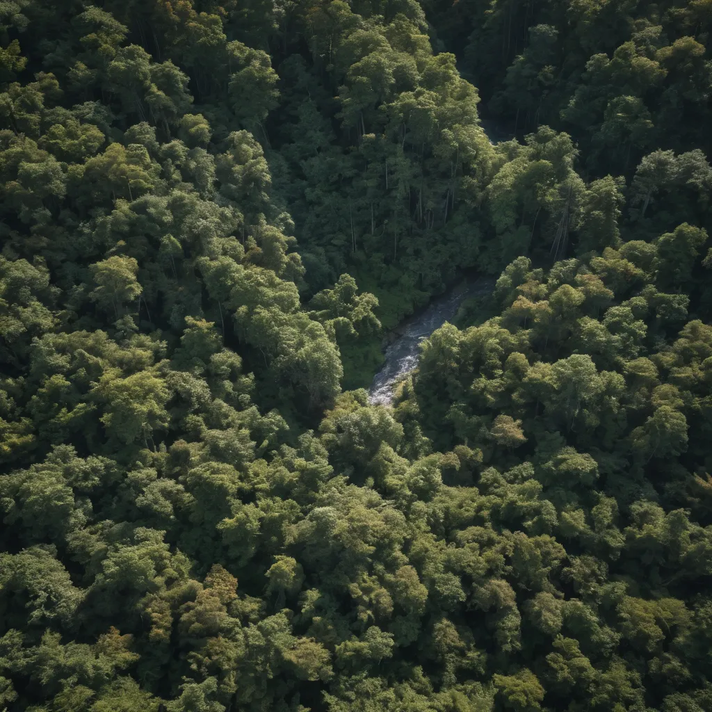 Exploring Lidar Technology in Forest Management